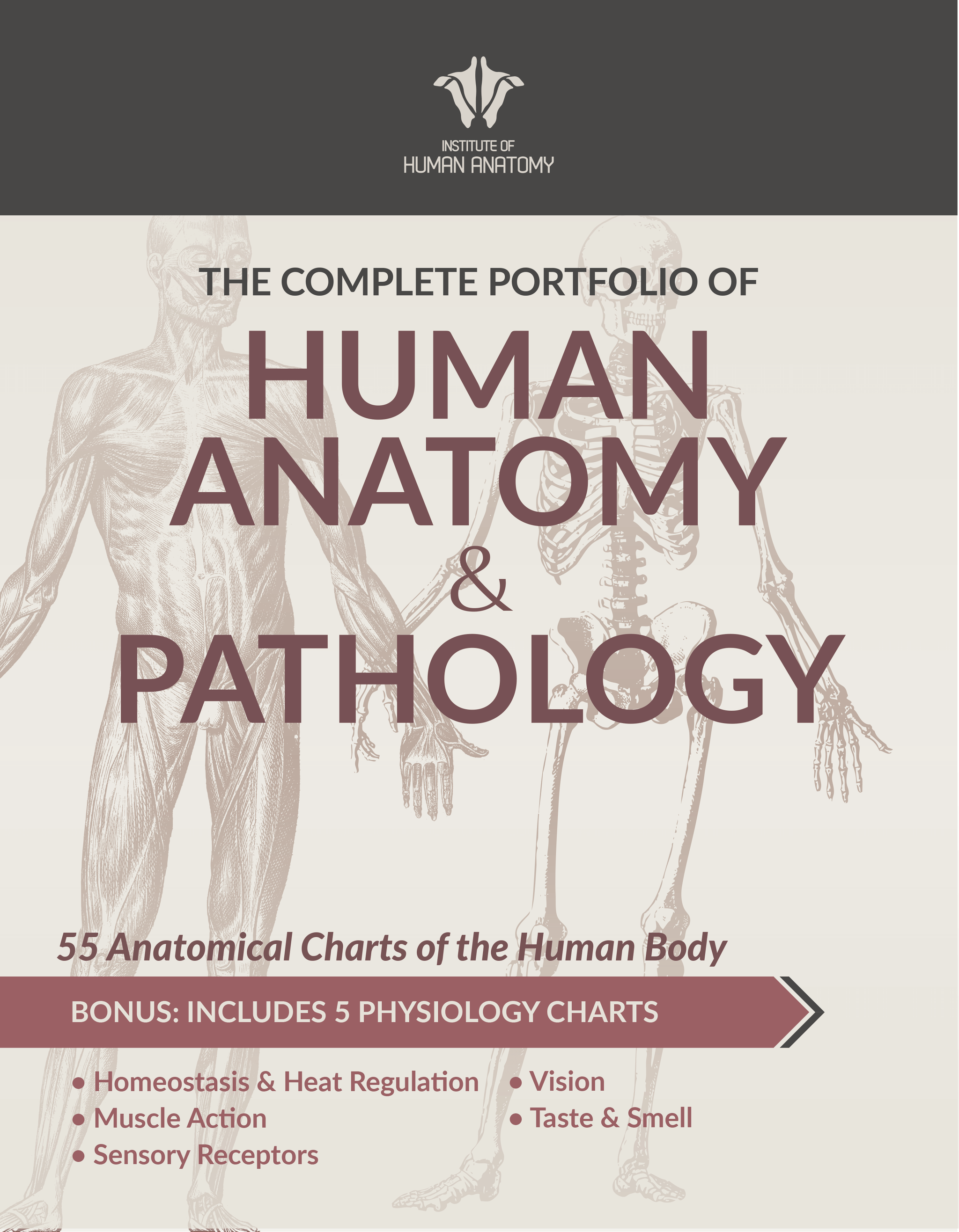 The Complete Portfolio of Human Anatomy and Pathology - eBook