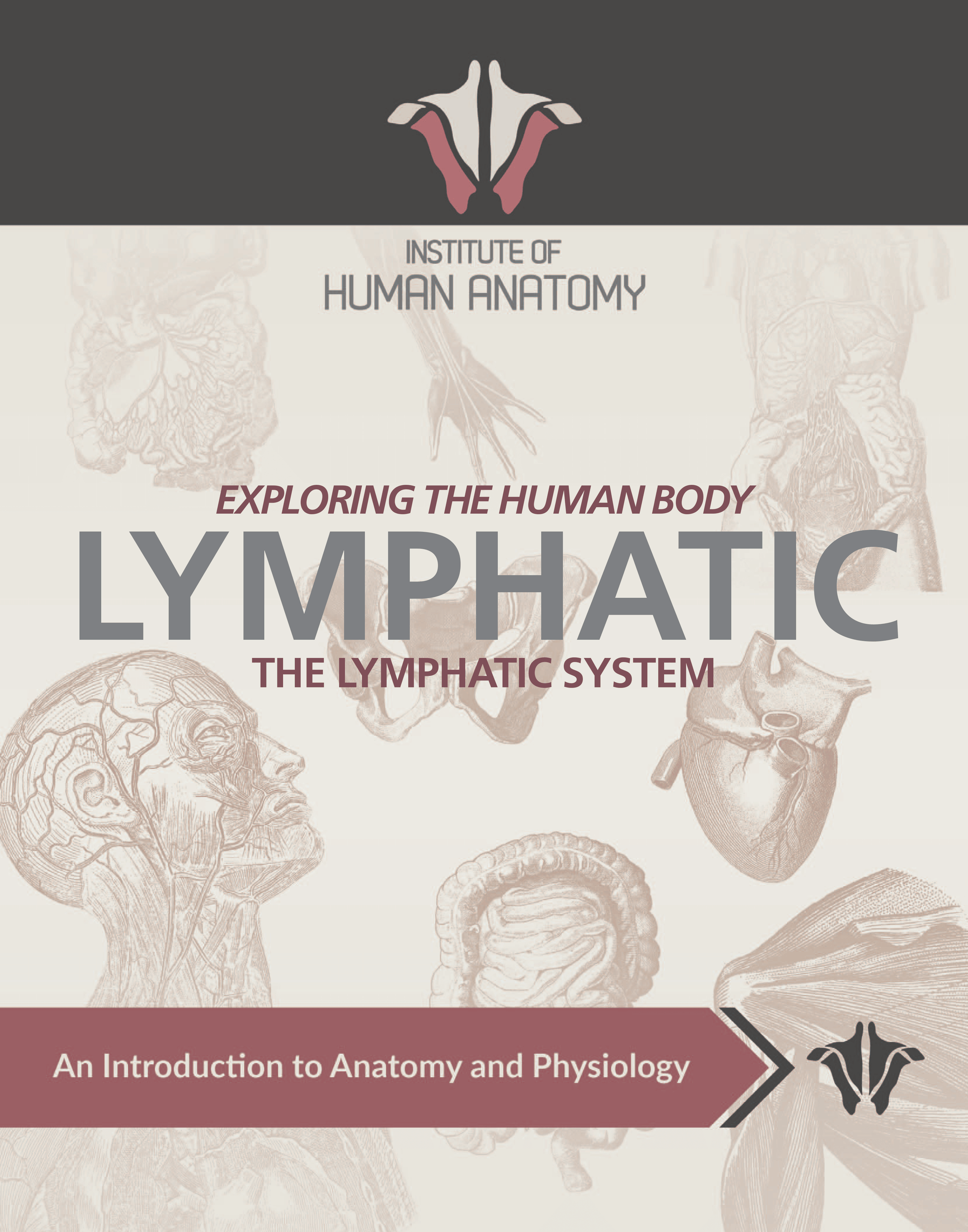 Exploring the Lymphatic System - eBook