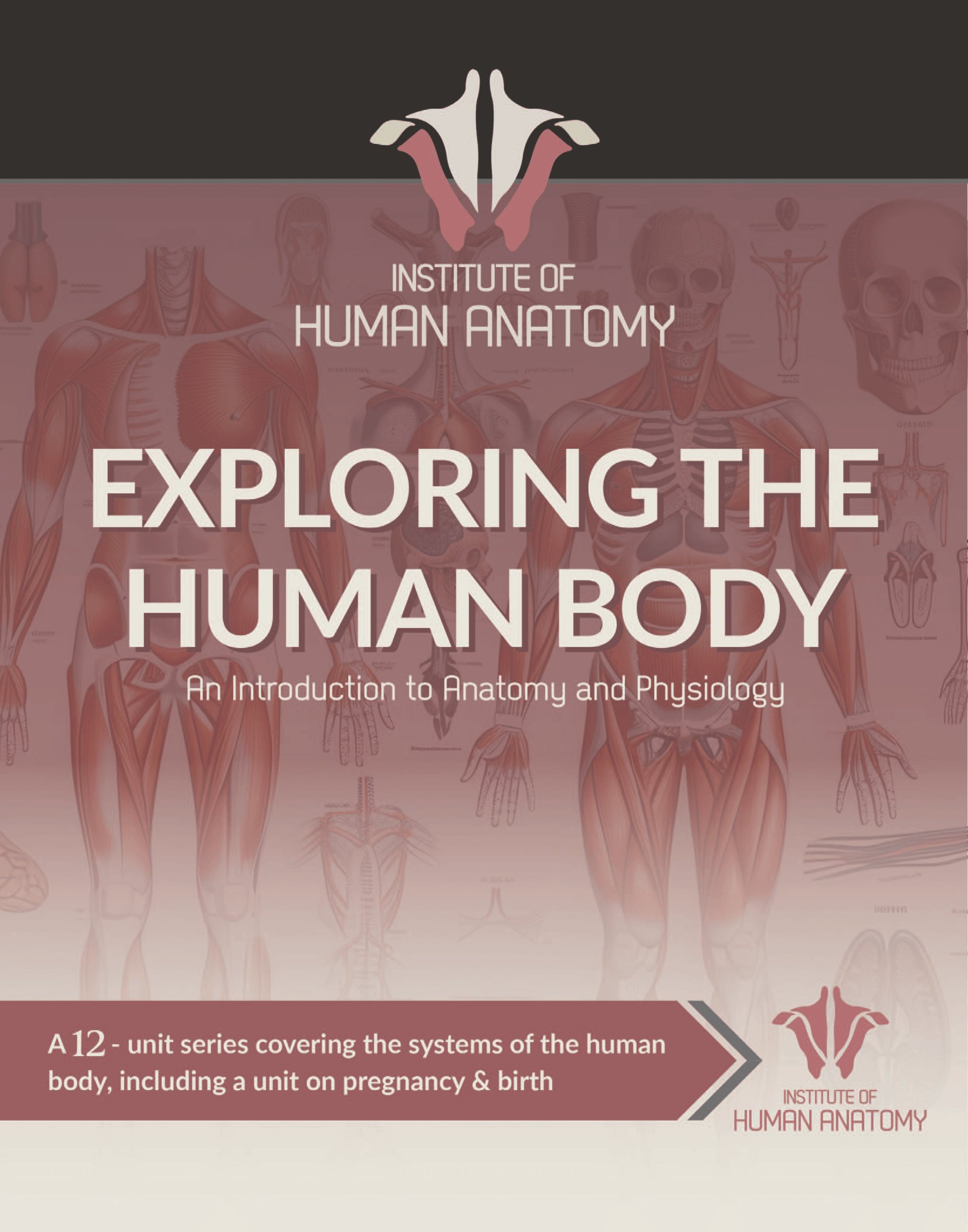 Systems of the Human Body - eBook